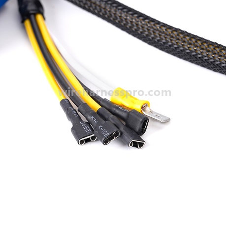 Relay Fuse Box Wire Harness